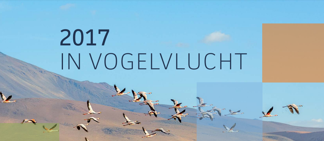 Jaarbeeld 2017 – NVTZ